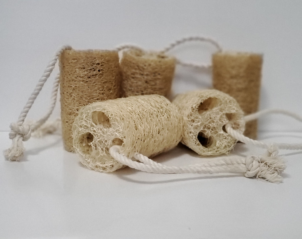 Luffa Bath Sponges – Angel Oak Farms
